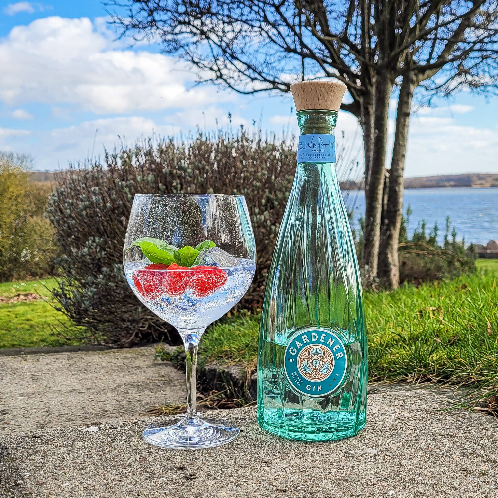 Recension The Gardener French Riviera Gin - Vi testar Brad Pitts nya ...